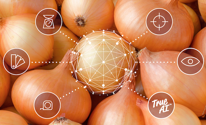 How can you ensure desired onion quality and consistency?